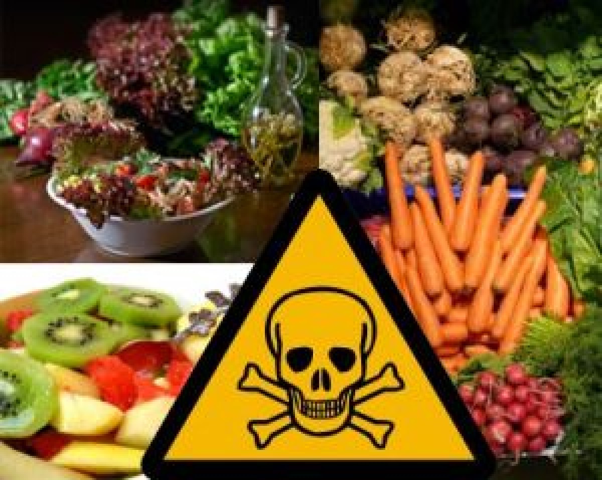 Contaminação de alimentos por agrotóxicos aumenta no país [SEEB Santos ...