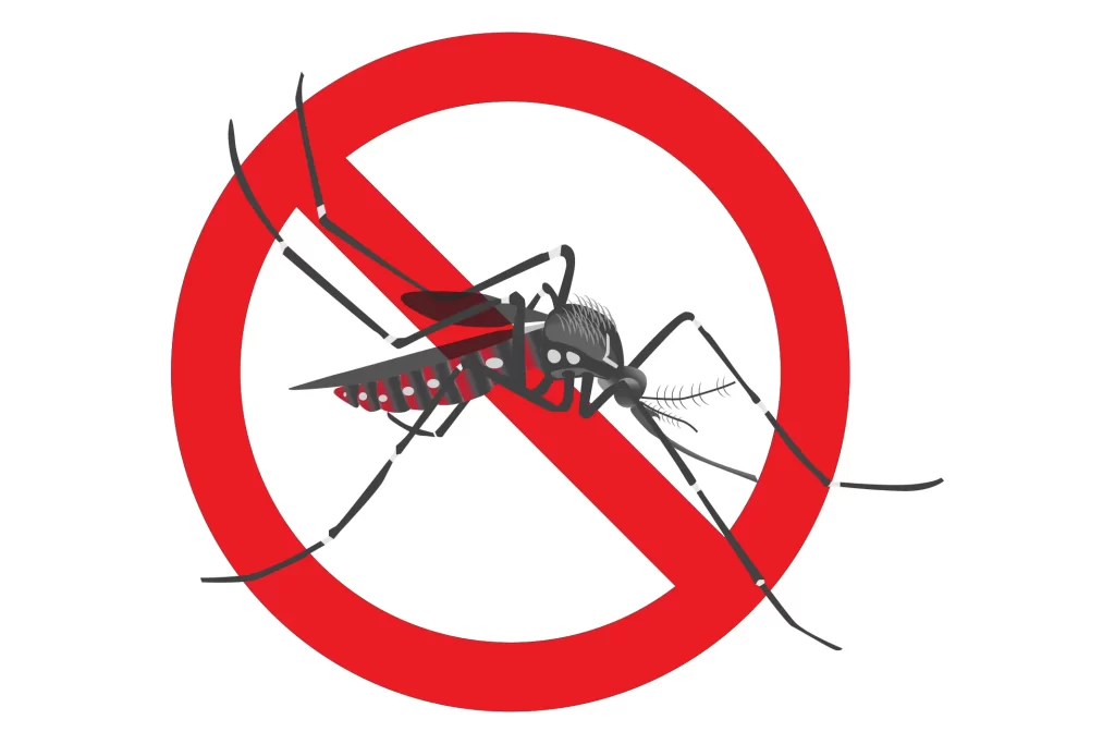 Ministros se unem em vídeo para combate à dengue no Brasil – SEEB ...